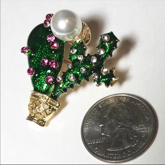Jewelry | Cactus Brooch Pin | Poshmark